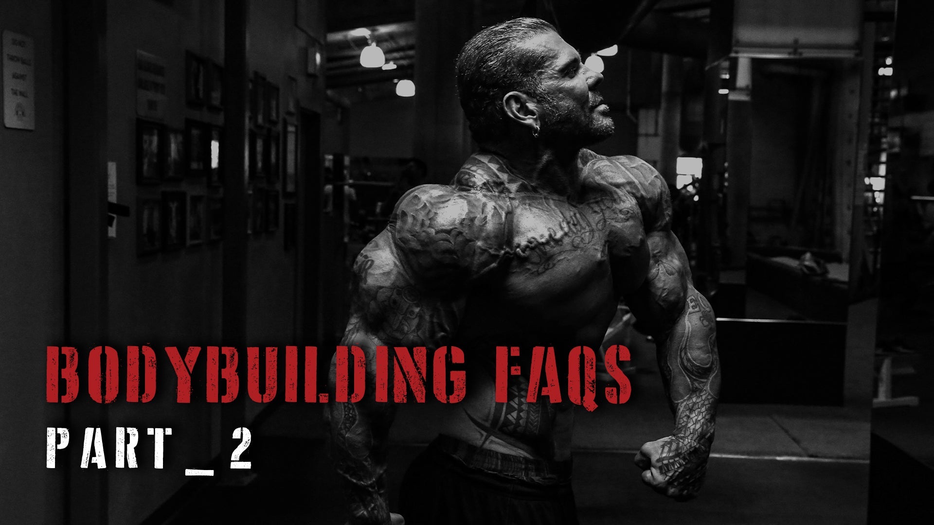 Bodybuilding FAQs - Round 2